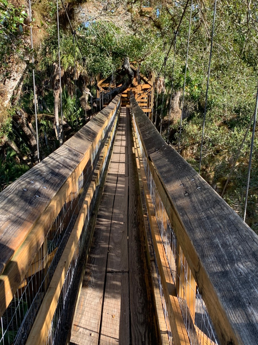 Myakka River Canopy Walk – Lisa Browder